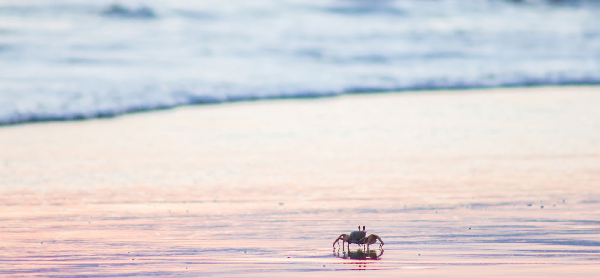 Special Offers | Anvil Bay