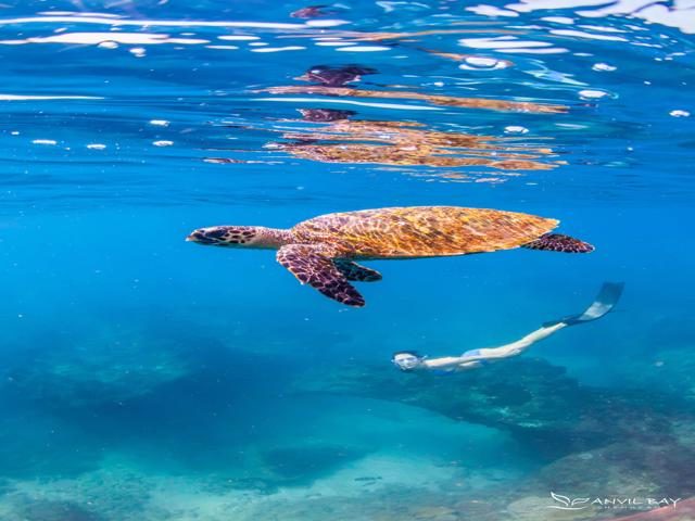 Anvil Bay | Private Barefoot Wilderness Experience